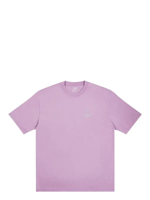 PALACE X Arc'teryx T-shirt - Purple