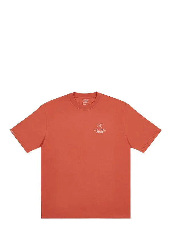 PALACE X Arc'teryx T-shirt 'ochre - Orange