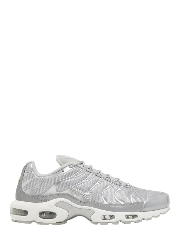 Nike Air Max Plus Sneakers - Silver