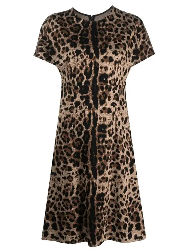 Dolce & Gabbana Leopard Jacquard Short-sleeved Dress - Brown