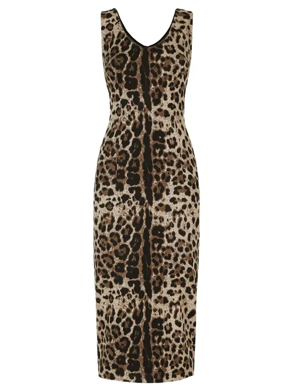 Dolce & Gabbana Leopard-print Midi Dress - Brown
