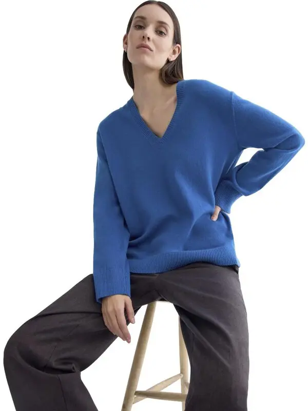 Everlane Cashmere V-neck Sweater - Classic Blue