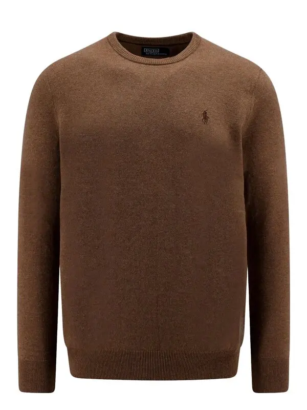 Polo Ralph Lauren Responsible Wool Sweater With Embroidered Logo - Brown