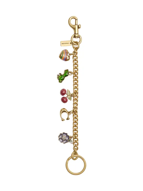 COACH® Motif Chain Bag Charm - Brass/multi