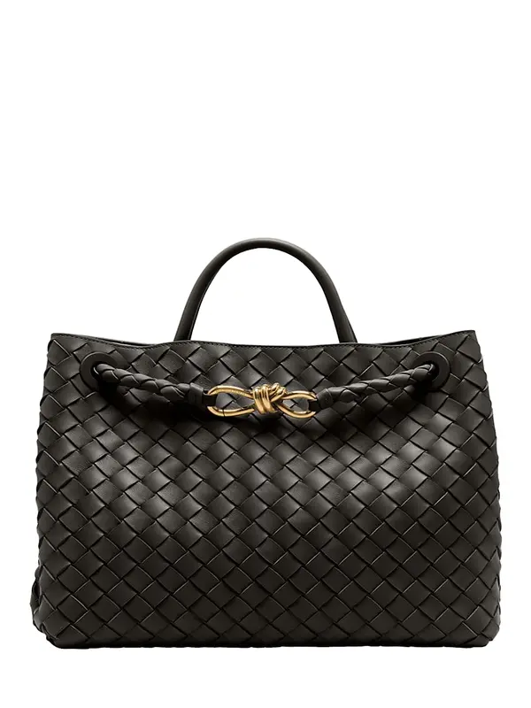Bottega Veneta Andiamo Top-handle Bag - Fondant