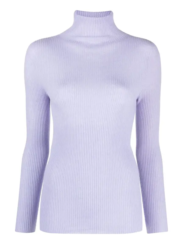 Fabiana Filippi Roll-neck Long-sleeve Jumper - Purple