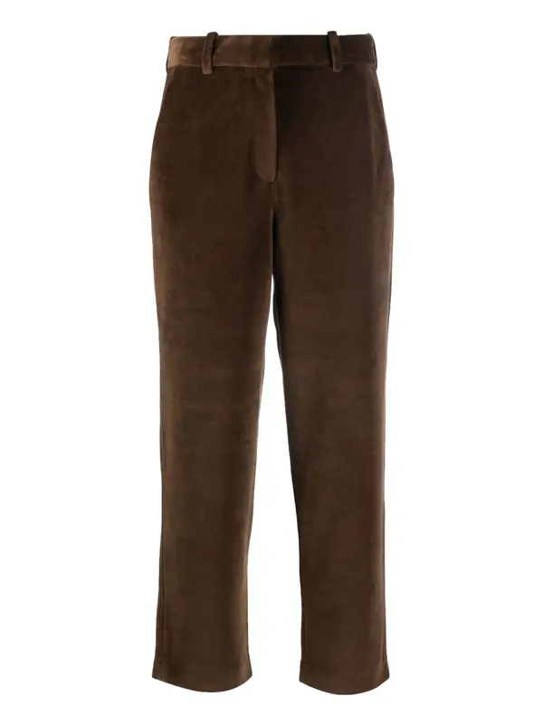 CIRCOLO 1901 Velour Chino Trousers - Brown