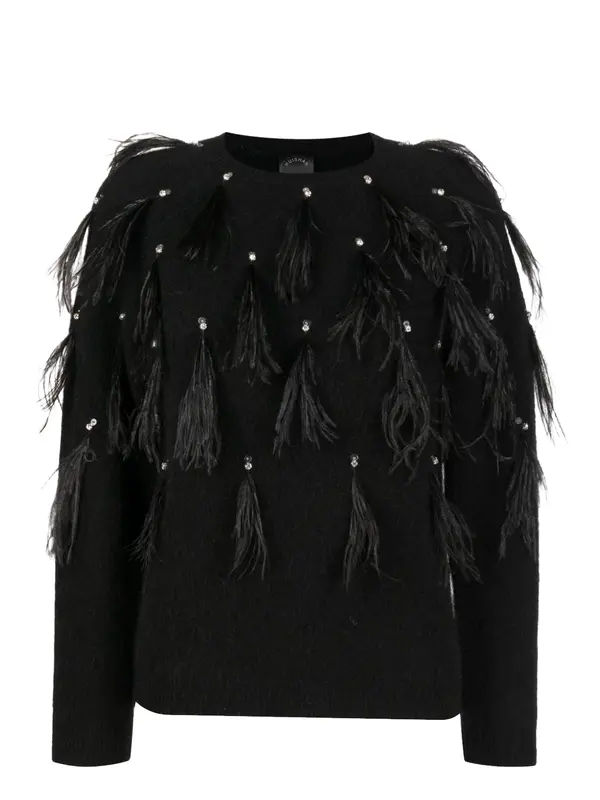 Huishan Zhang Feather And Crystal-embellished Jumper - Black