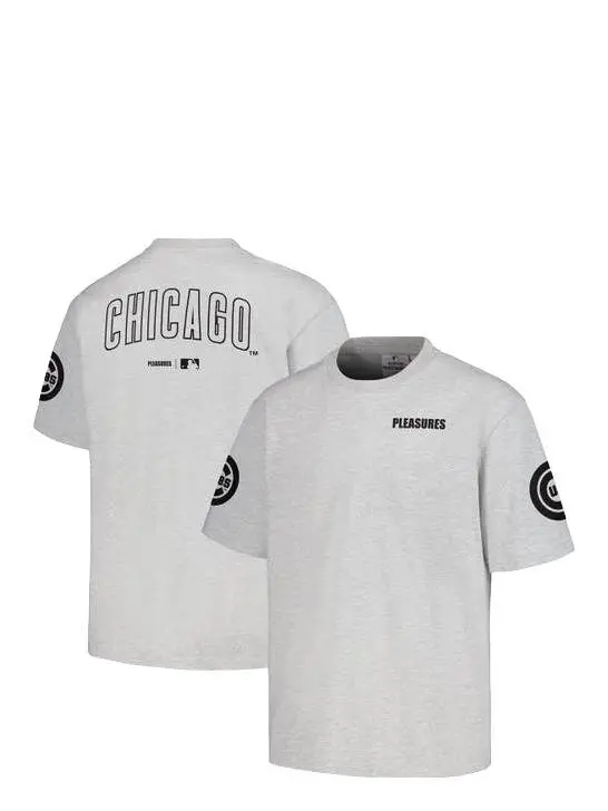 PLEASURES Chicago Cubs Team T-shirt - Gray