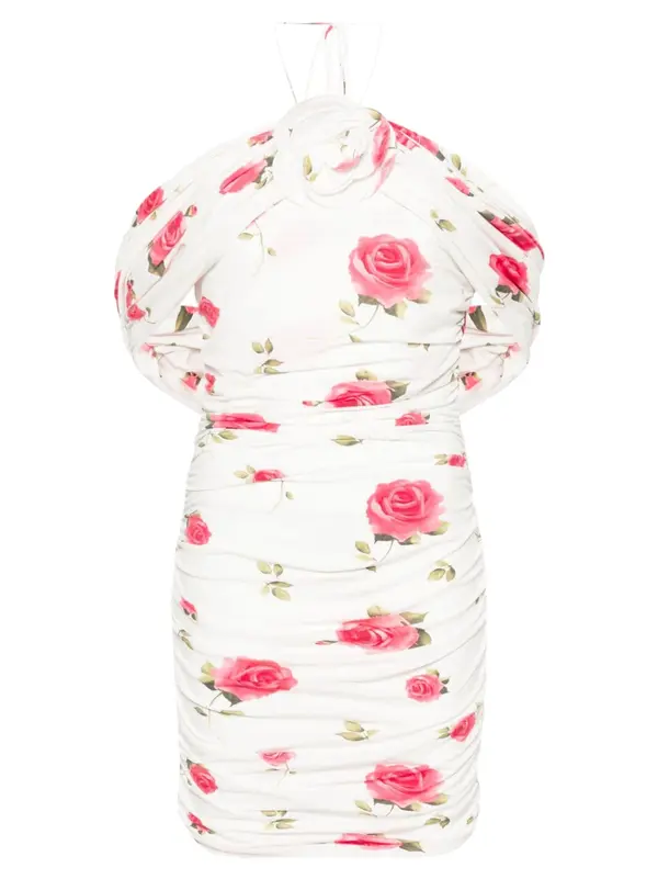 Magda Butrym Rose-print Minidress - White