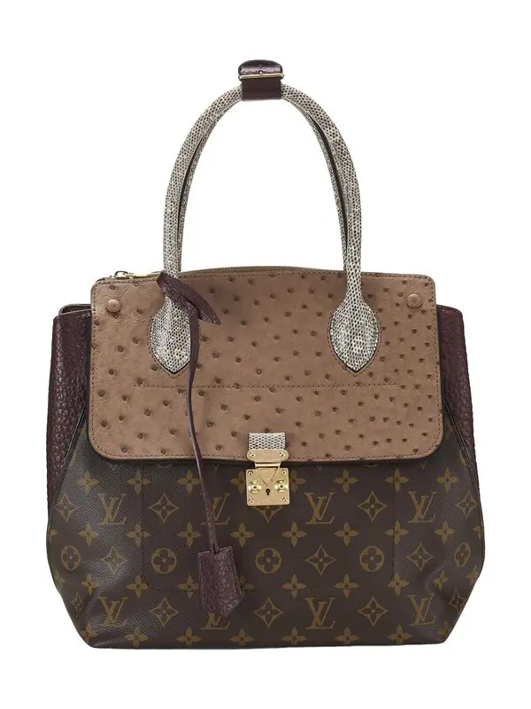 LOUIS VUITTON Monogram Canvas Majestueux - Multi