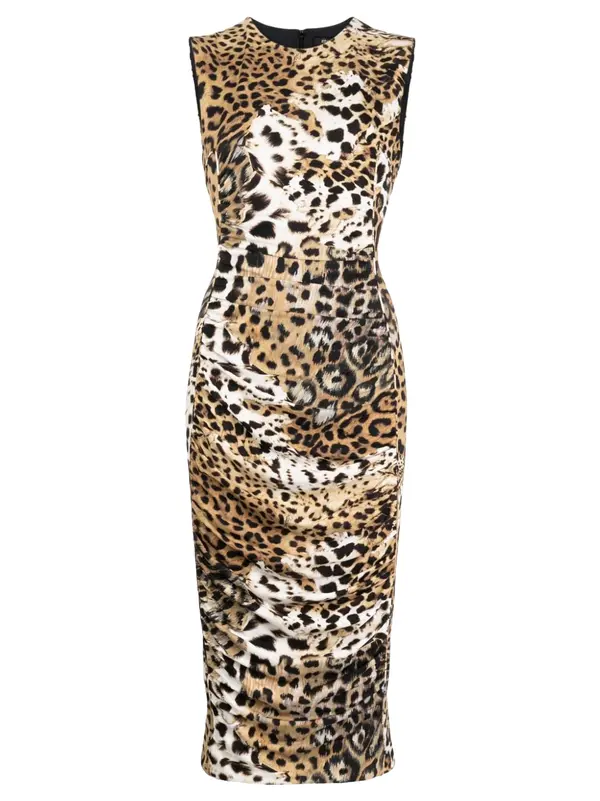 Roberto Cavalli Jaguar-print Midi Dress - Brown