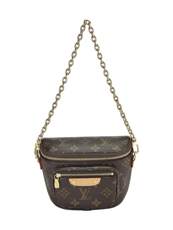 LOUIS VUITTON Monogram Canvas Bumbag - Brown