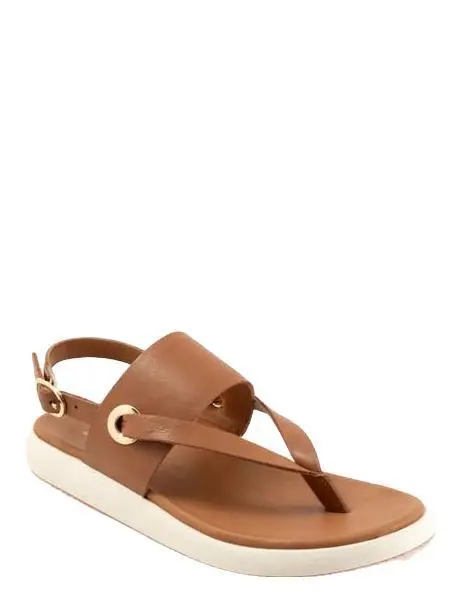 Softwalk Joliet Slingback Sandal - Luggage
