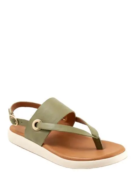 Softwalk Joliet Slingback Sandal - Olive
