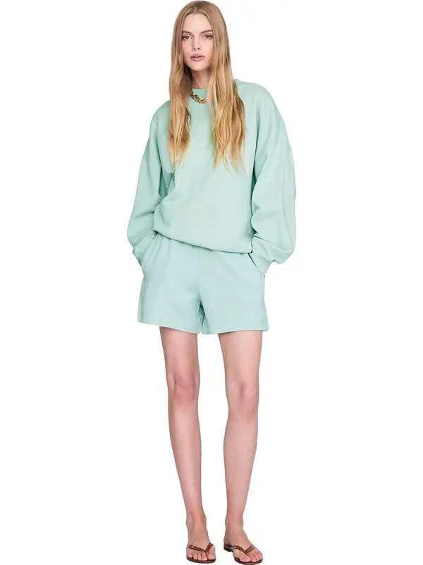 ANINE BING Miles Leopard Print Sweatshirt - Washed Seafoam