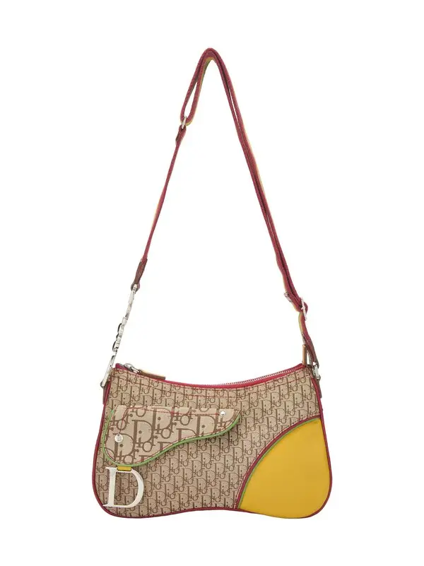 Dior Trotter Canvas Rasta Double Saddle Bag - Multi