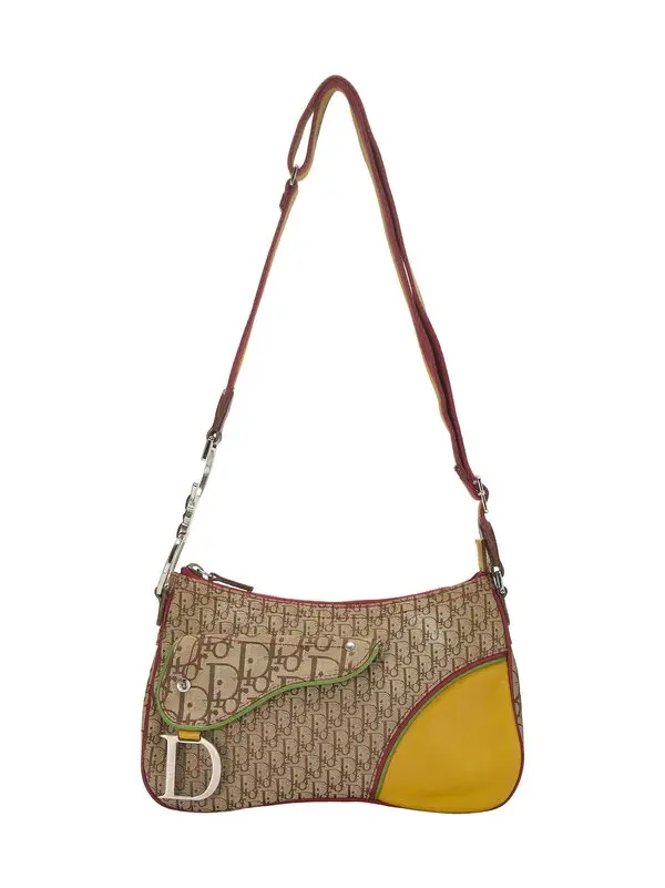 Dior Trotter Canvas Rasta Double Saddle Bag - Multi