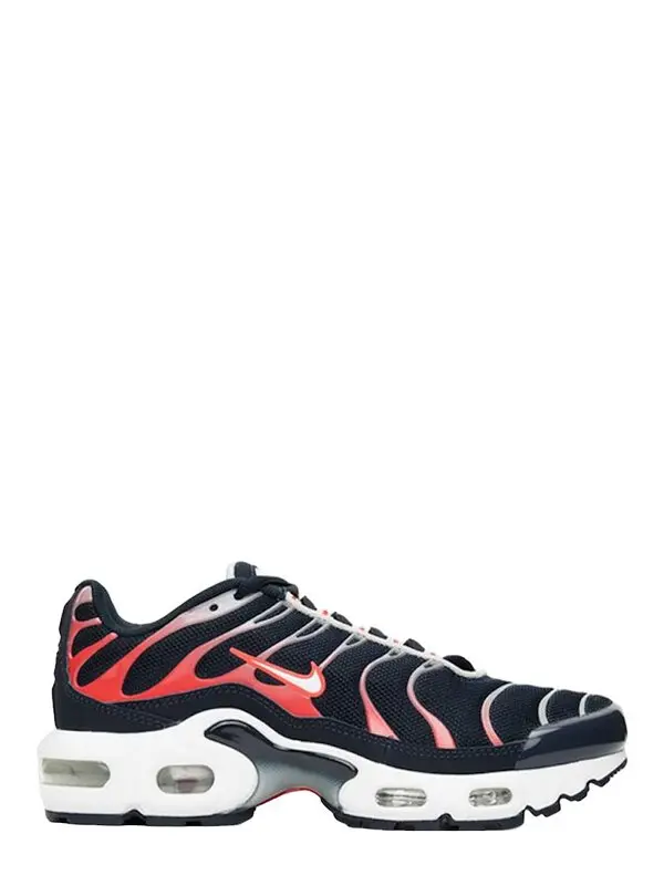 Nike Air Max Plus Sneakers - Dark Obsidian/bright Crimson/light Smoke Grey