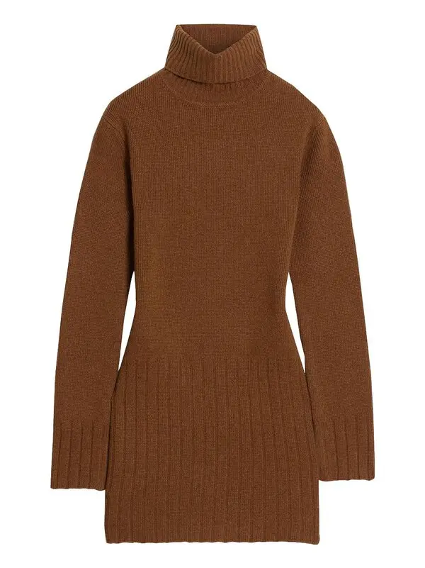NILI LOTAN Everett Wool And Cashmere-blend Turtleneck Mini Dress - Brown