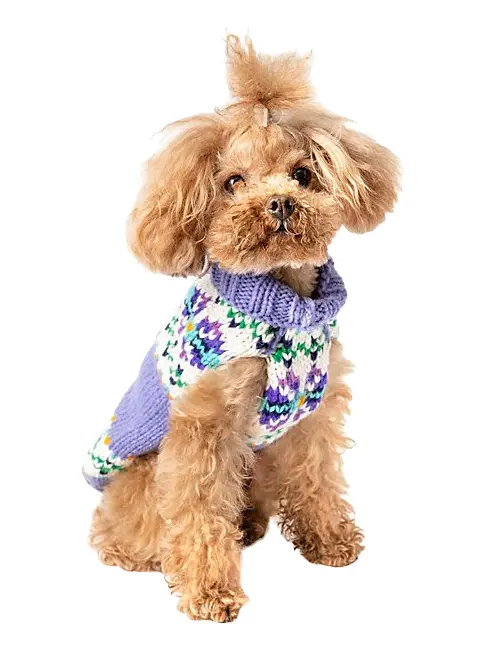 CHILLY DOG Flowers Dog Sweater - Purple