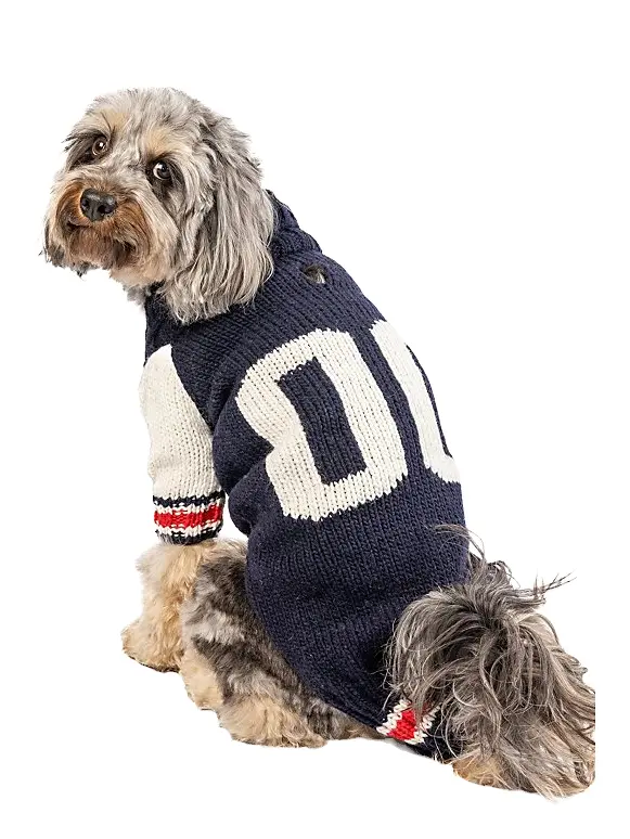 CHILLY DOG Varsity Dog Sweater - White