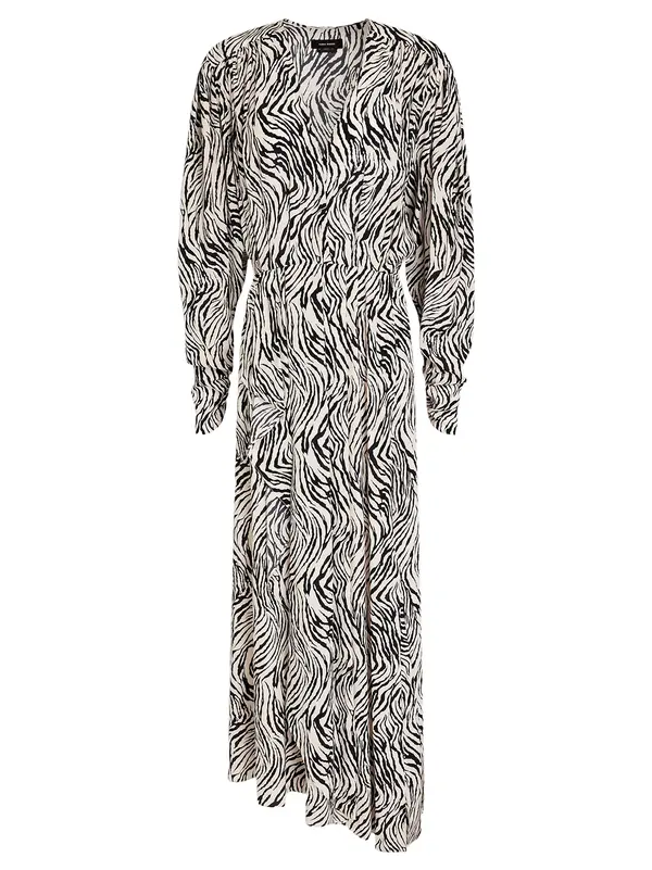 Isabel Marant Blainea Zebra-print Maxi Dress - Animal Print