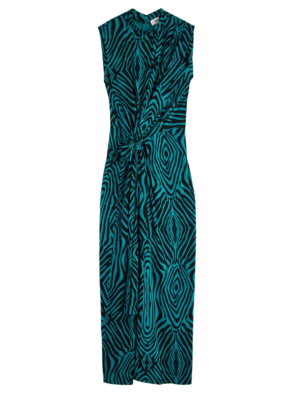 Diane Von Furstenberg Geri Zebra-print Maxi Dress - Blue