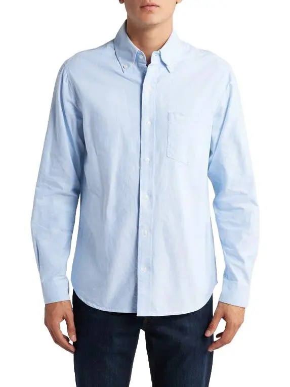 SCHOTT Button-down Oxford Shirt - Blue
