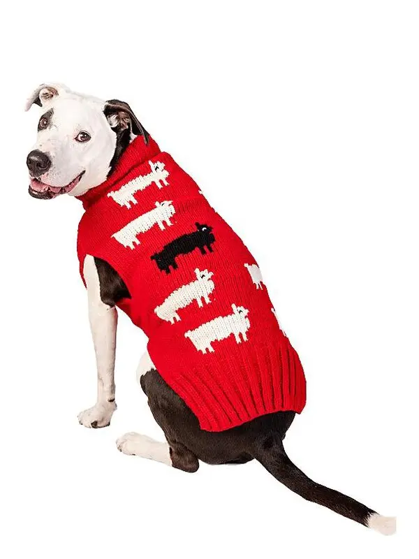 CHILLY DOG Sheep Dog Sweater - White
