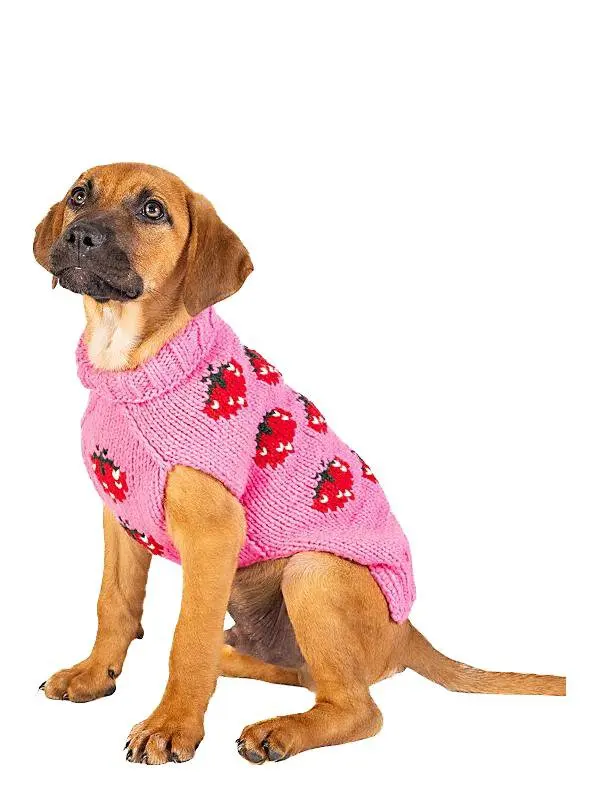 CHILLY DOG Strawberry Dog Sweater - White