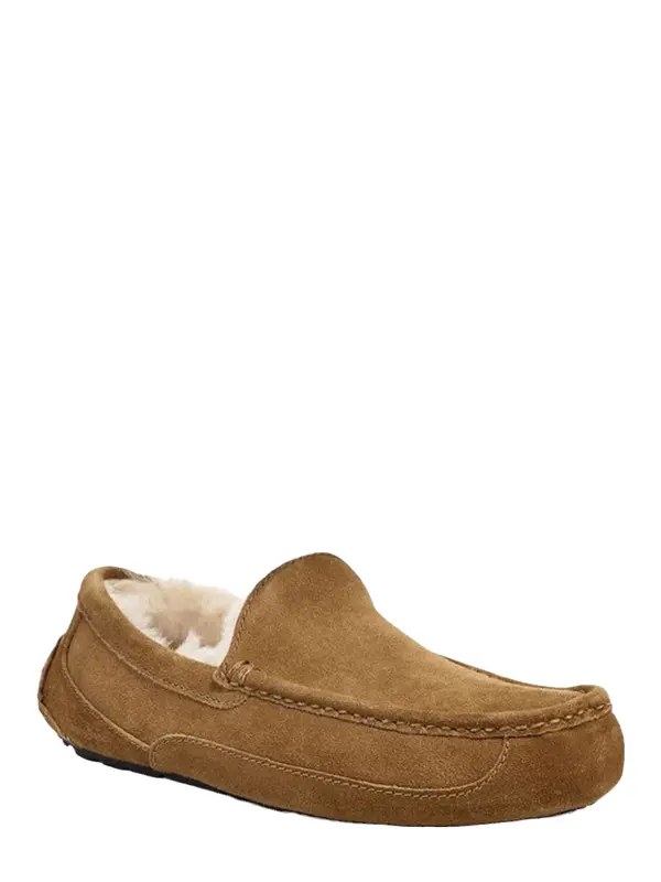 UGG Ascot Slipper - Brown