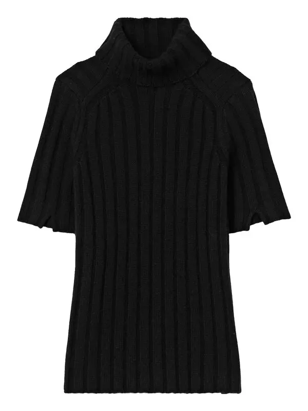 Proenza Schouler Starling Wool And Cashmere-blend Turtleneck Sweater - Black