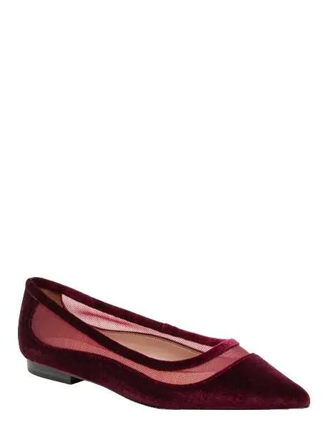Linea Paolo Novah Pointed Toe Flat - Burgundy