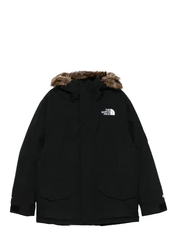 The North Face Mcmurdo 2l Gtx Jacket - Black