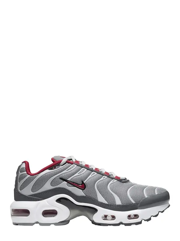 Nike Air Max Plus Sneakers - Particle Grey/iron Grey/grey Fog