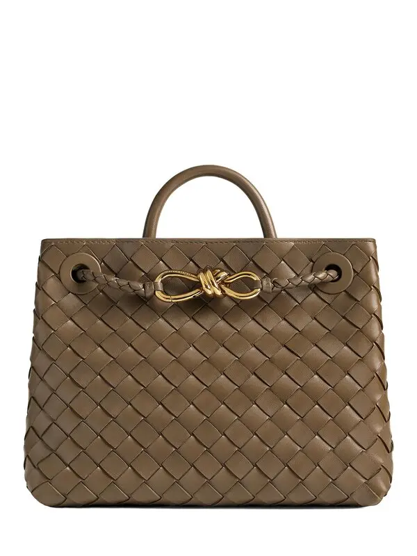 BOTTEGA  VENETA Intrecciato Leather Andiamo Bag - Pinecone