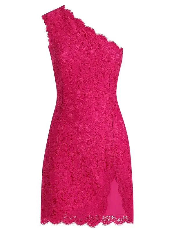 Dolce & Gabbana Floral Cordonetto Lace Minidress With Slit - Pink