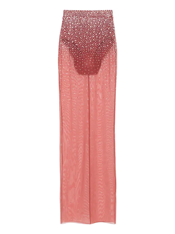 Alex Perry Crystal Mesh Maxi Skirt - Brown