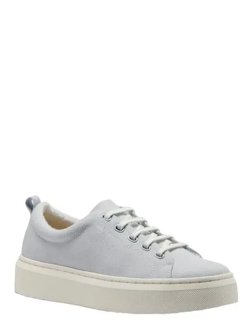 ABEO Jumpstreet Bungee Sneakers - Light Blue Canvas - Regular