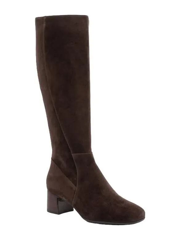ABEO Avenue Tall Boot - Java Suede - Regular