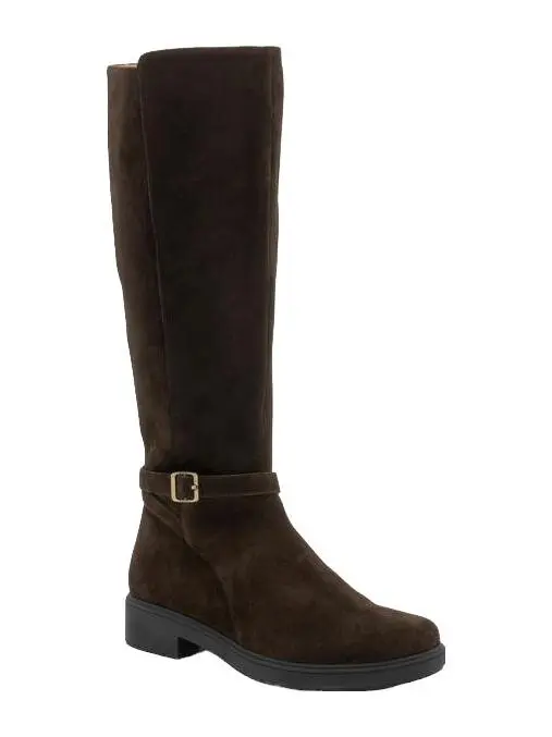 ABEO Compass Tall Zip-up Boots With Buckled Strap - Dark Brown - Regular