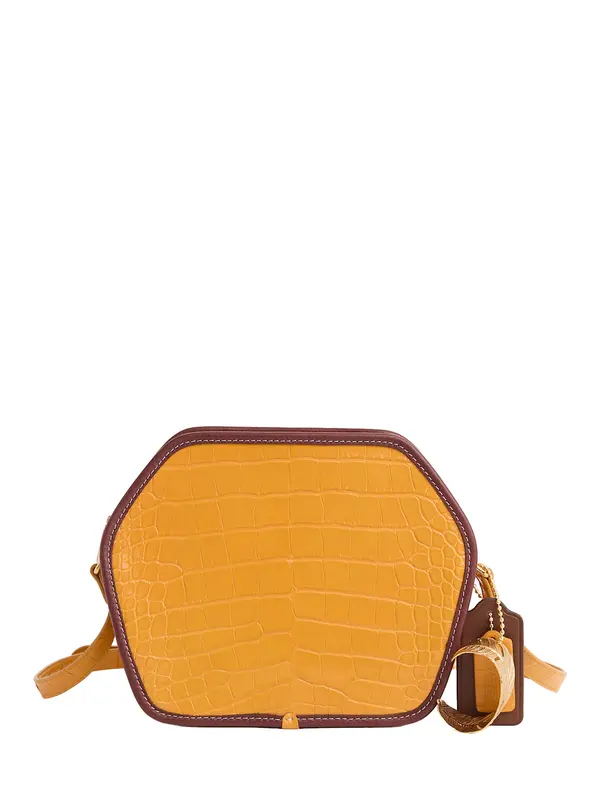 COACH® Upcrafted Zip Geometric Pouch In Alligator - Brass/yellow