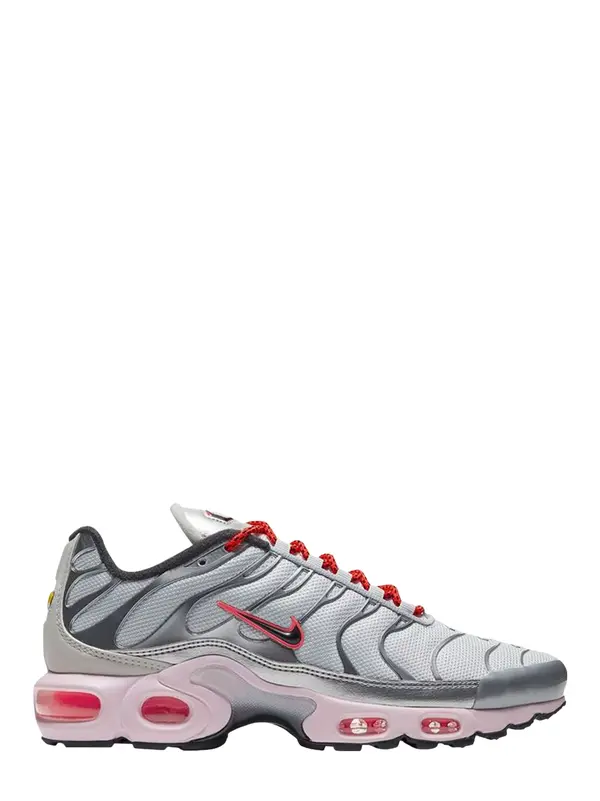 Nike Air Max Plus Sneakers - Silver