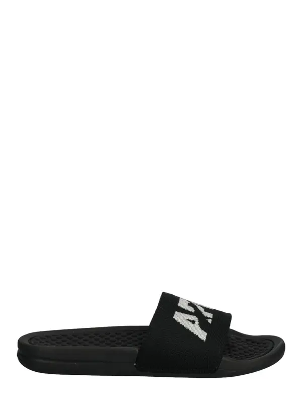 Apl Big Logo Techloom Slides - Black
