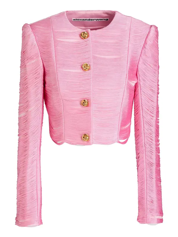 Alexander Wang Cropped Fringed Mesh Jacket - Baby Pink