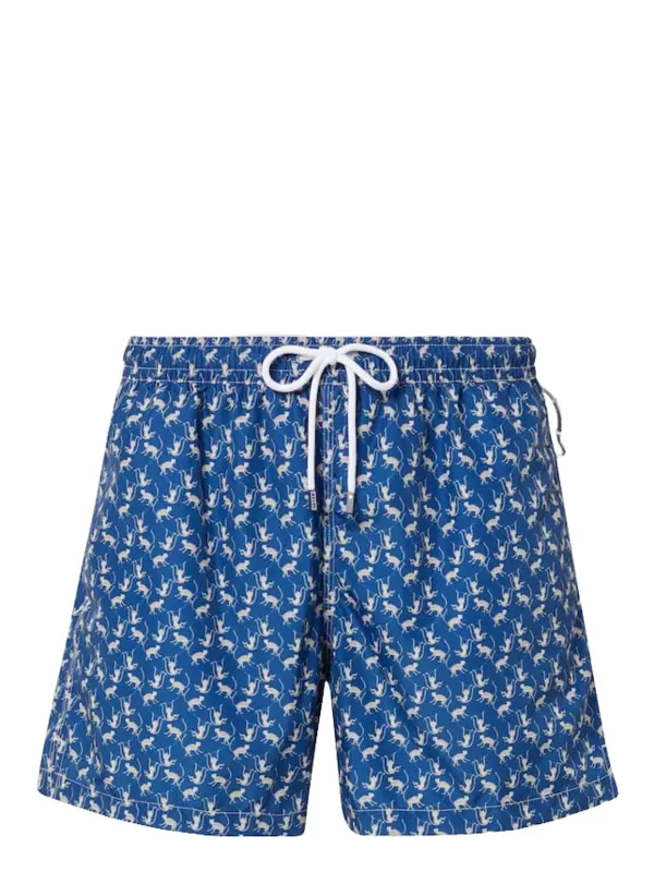 Fedeli Printed Swim Trunks - Blue