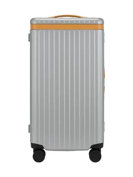 CARL FRIEDRIK The Trunk Suitcase - Silver/tan
