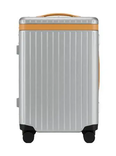 CARL FRIEDRIK Carry-on Suitcase - Silver/tan