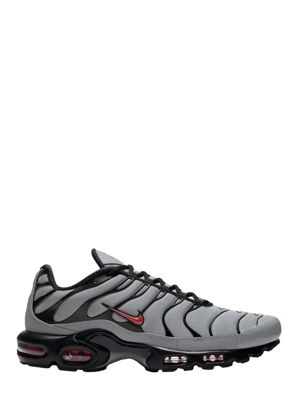 Nike Air Max Plus Sneakers - Grey